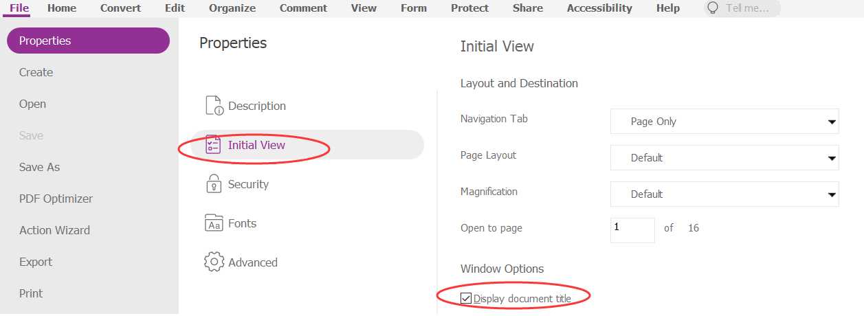 Why cannot get file name displaying when open a pdf file, but only file title